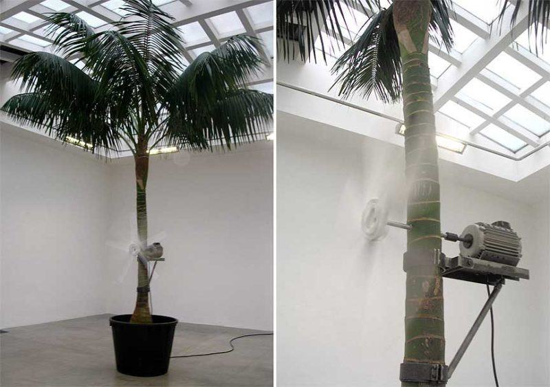 Allora & Calzadilla: Artwork Survey: 2000s | Art21