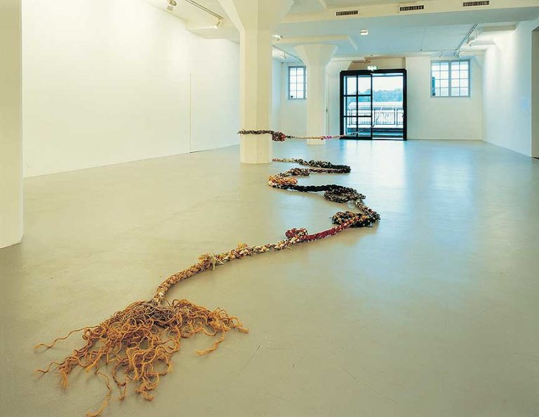 Janine Antoni: Artwork Survey: 2000s | Art21