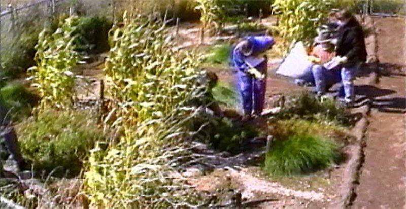 Mel Chin: Artist at Work | Art21