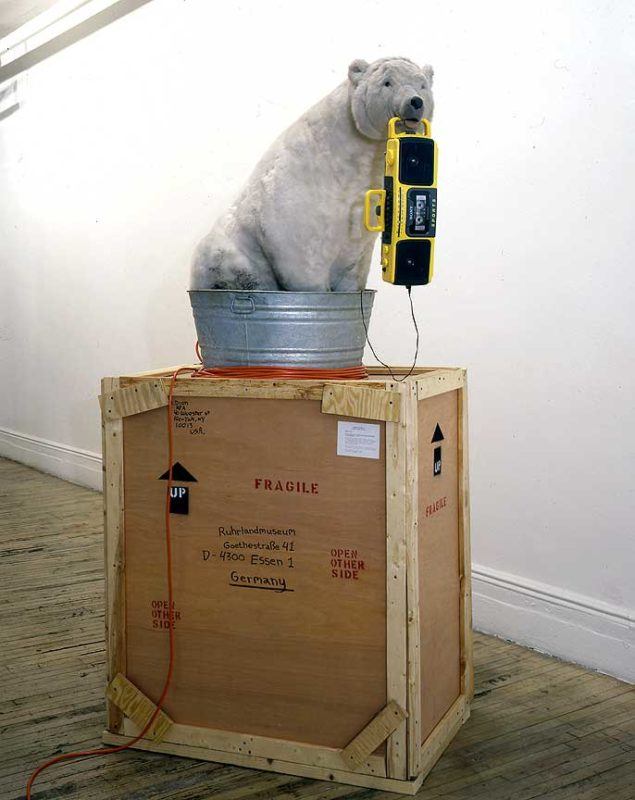 Mark Dion: Artwork Survey: 1990s | Art21