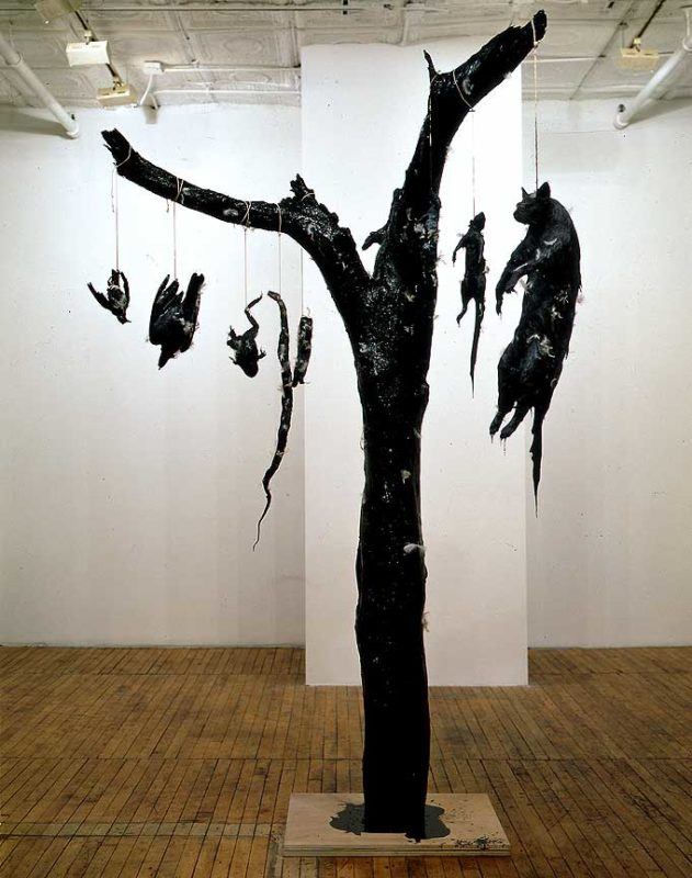 Mark Dion: Artwork Survey: 1990s | Art21