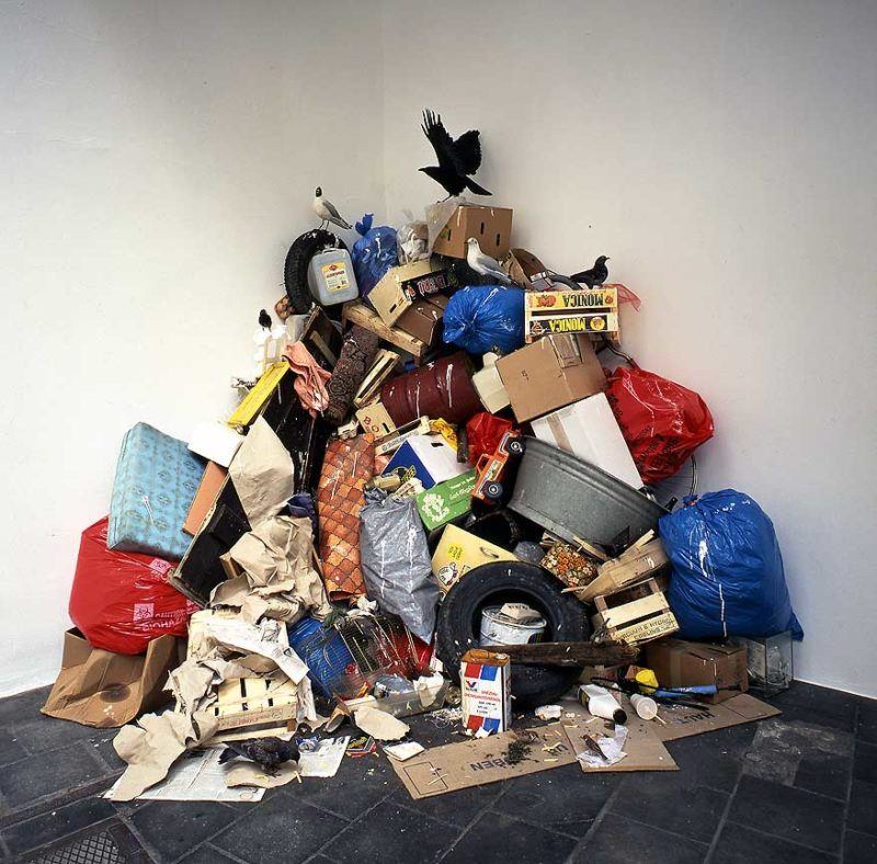 Mark Dion: Artwork Survey: 1990s | Art21