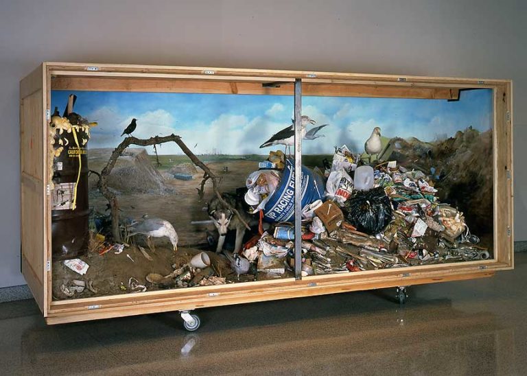 Mark Dion: Artwork Survey: 1990s | Art21