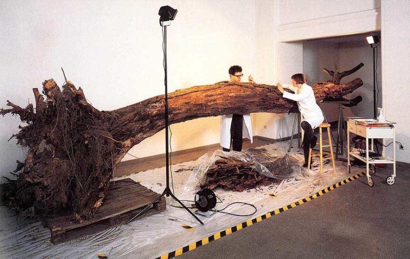 Mark Dion: Artwork Survey: 1990s | Art21