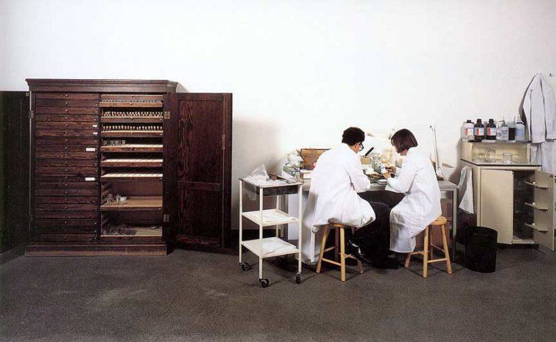 Mark Dion: Artwork Survey: 1990s | Art21