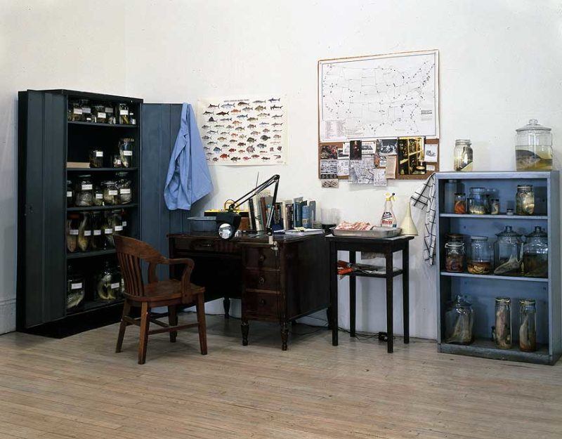 Mark Dion: Artwork Survey: 1990s | Art21