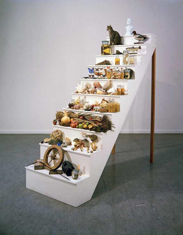 Mark Dion: Artwork Survey: 1990s | Art21