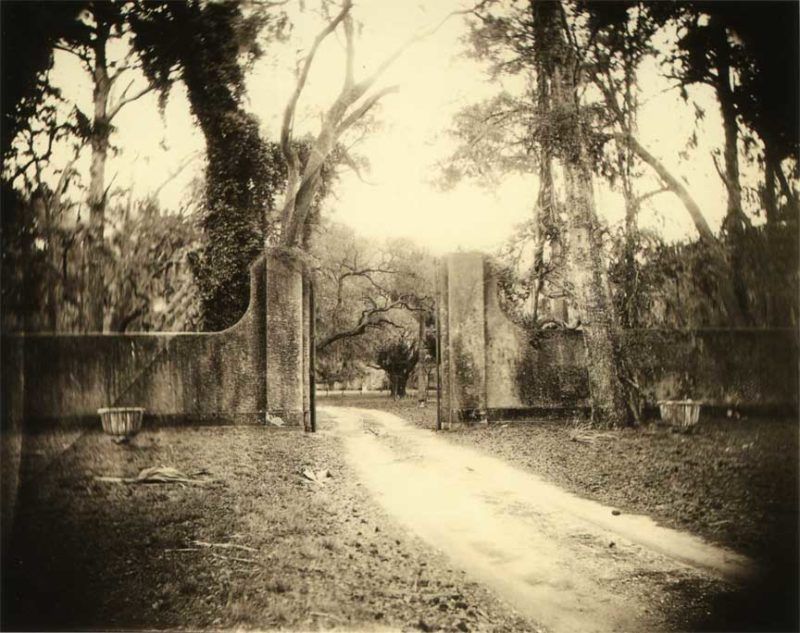 Sally Mann: Artwork Survey: 1990s | Art21