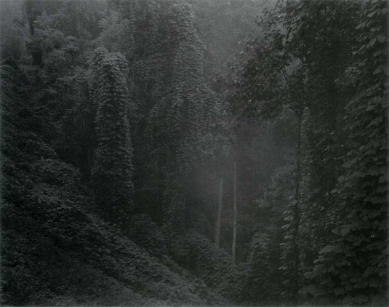 Sally Mann: Artwork Survey: 1990s | Art21