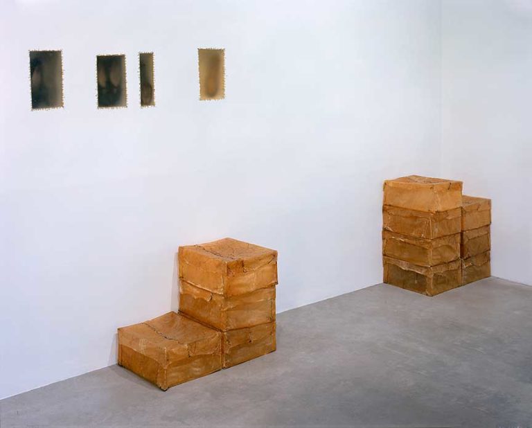 Doris Salcedo: Artwork Survey: 1990s | Art21
