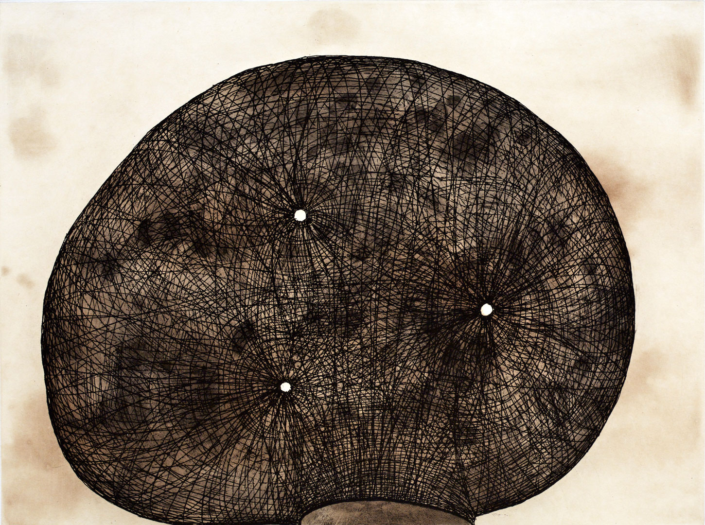 Martin Puryear: Prints | Art21