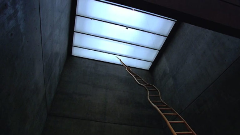 Martin Puryear: “Ladder for Booker T. Washington” (1996) | Art21
