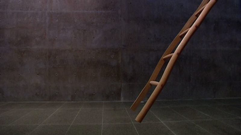 Martin Puryear: “Ladder for Booker T. Washington” (1996) | Art21