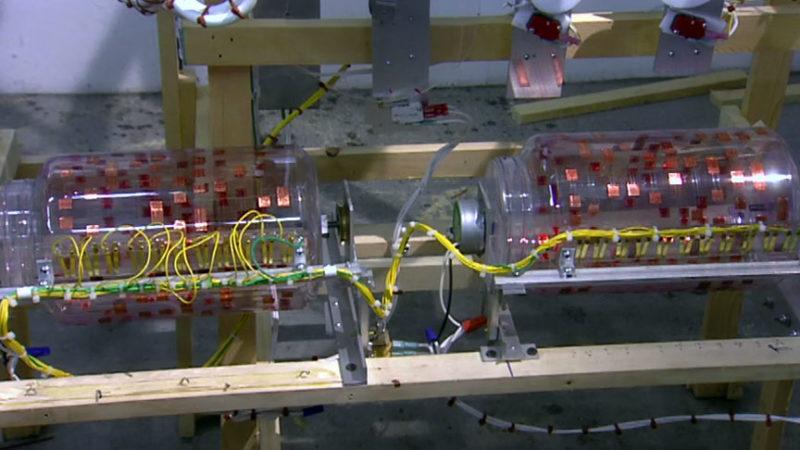 Tim Hawkinson: Artist at Work | Art21