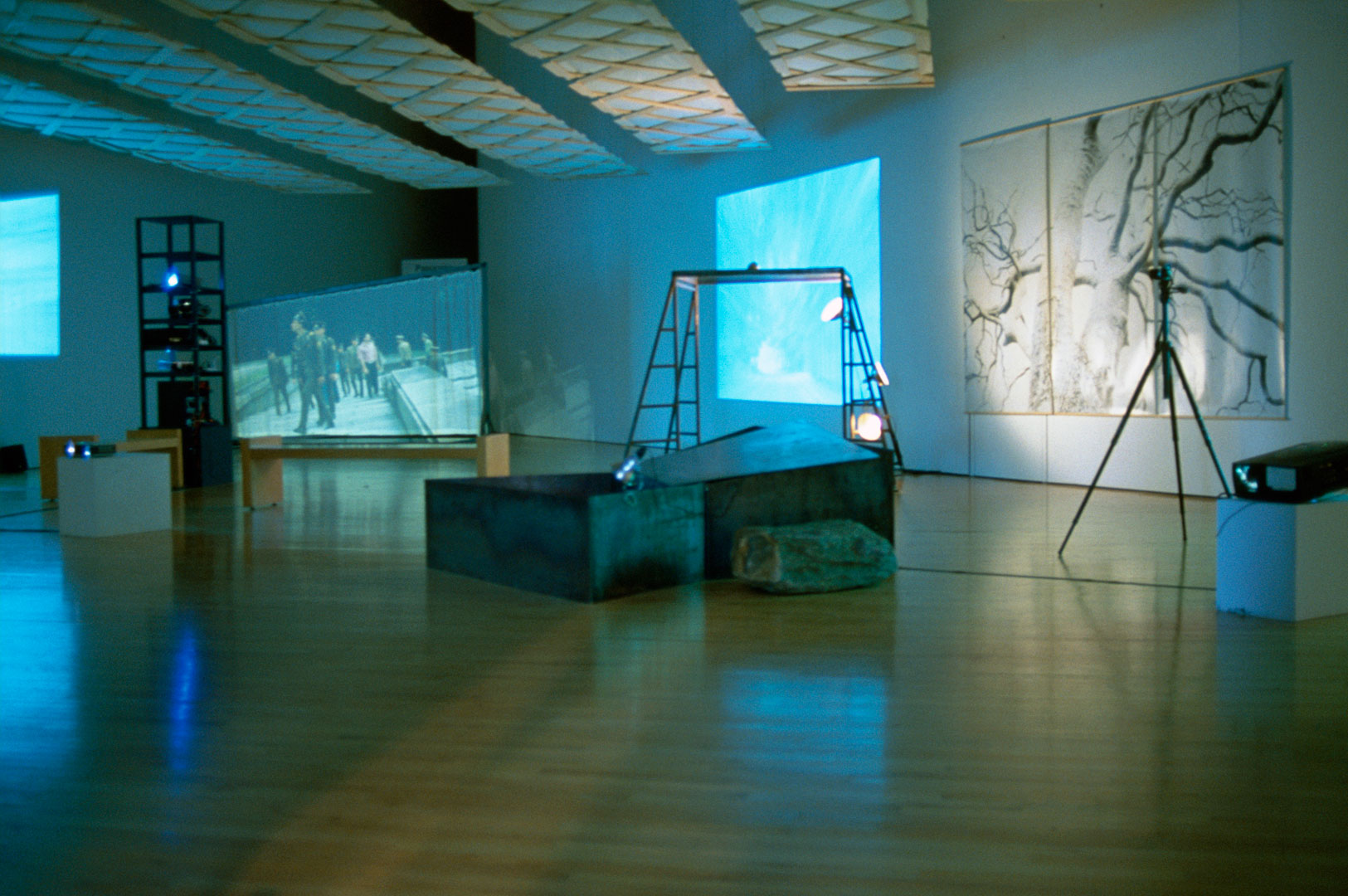 Joan Jonas: Artwork Survey: 1990s | Art21