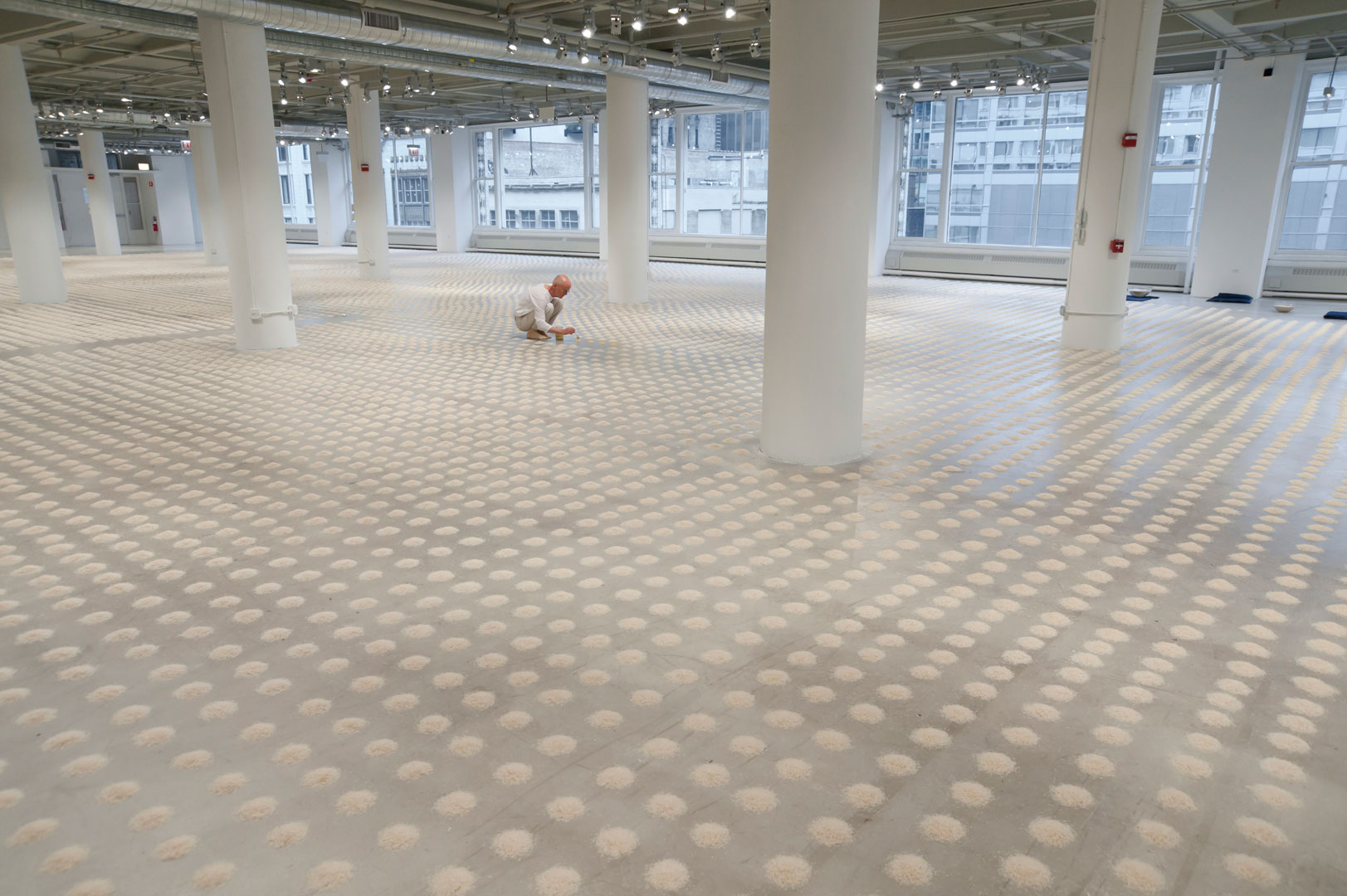 Wolfgang Laib: Artwork Survey: 2010s | Art21