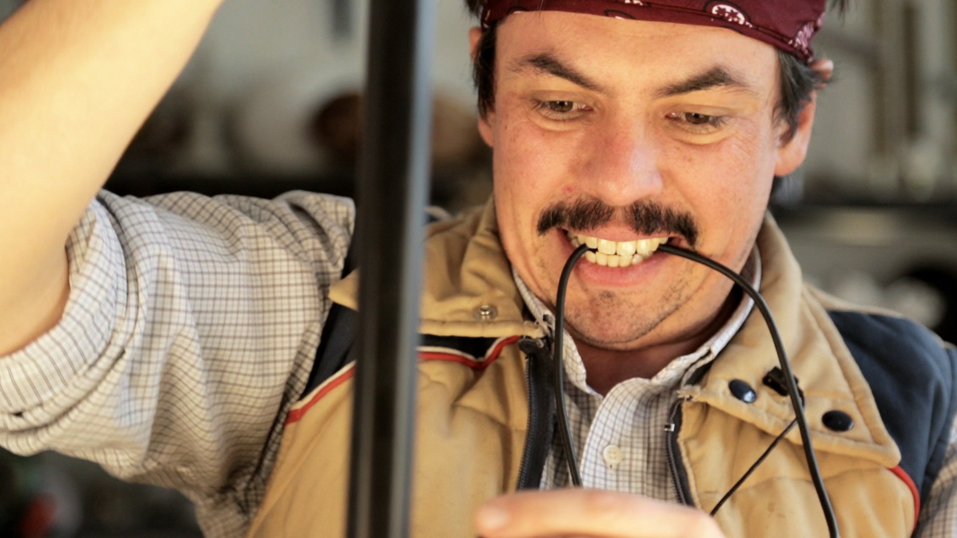 Weekly Watchlist: Ten Years of Chasing New York Stories | Art21