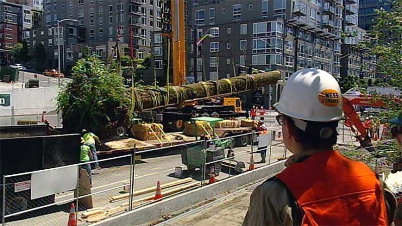 “Neukom Vivarium” — Art21