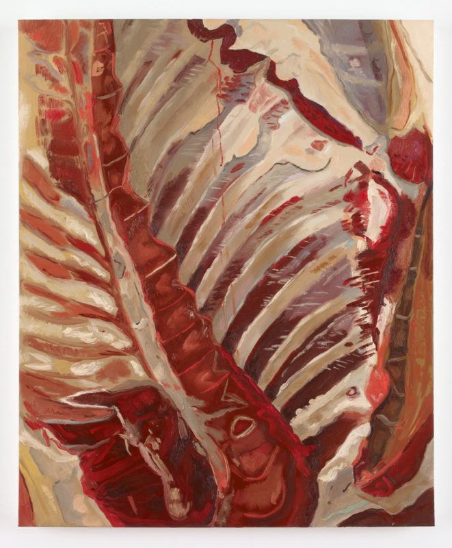 Josephine Halvorson: Artwork Survey | Art21