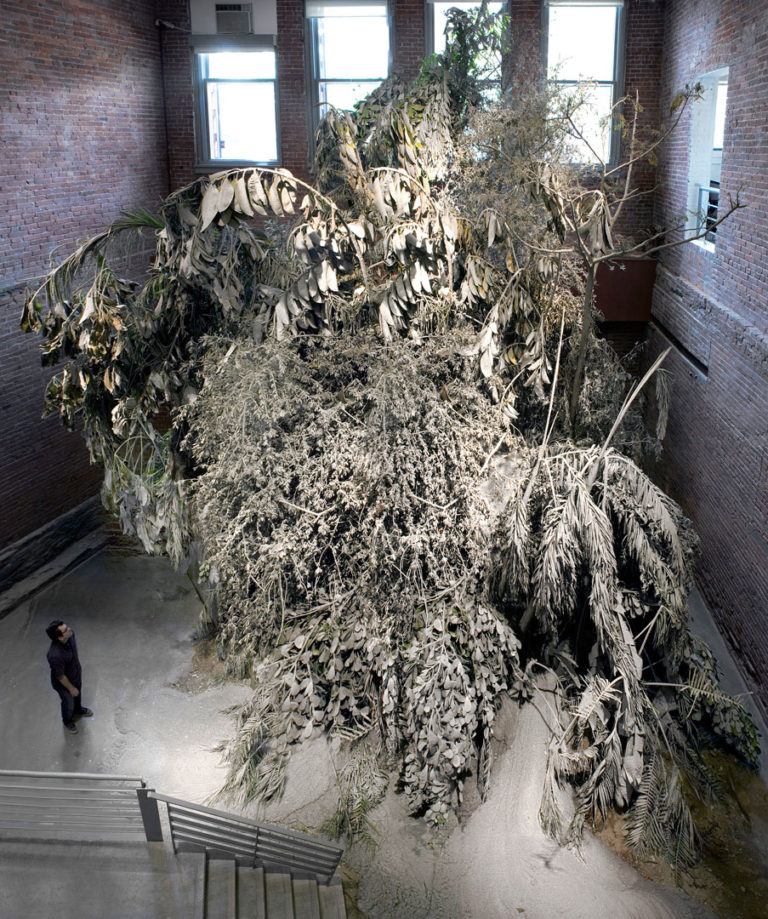 David Brooks: Artwork Survey | Art21