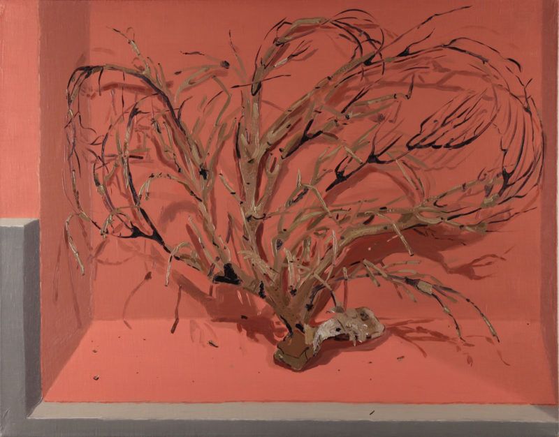 Josephine Halvorson: Artwork Survey | Art21