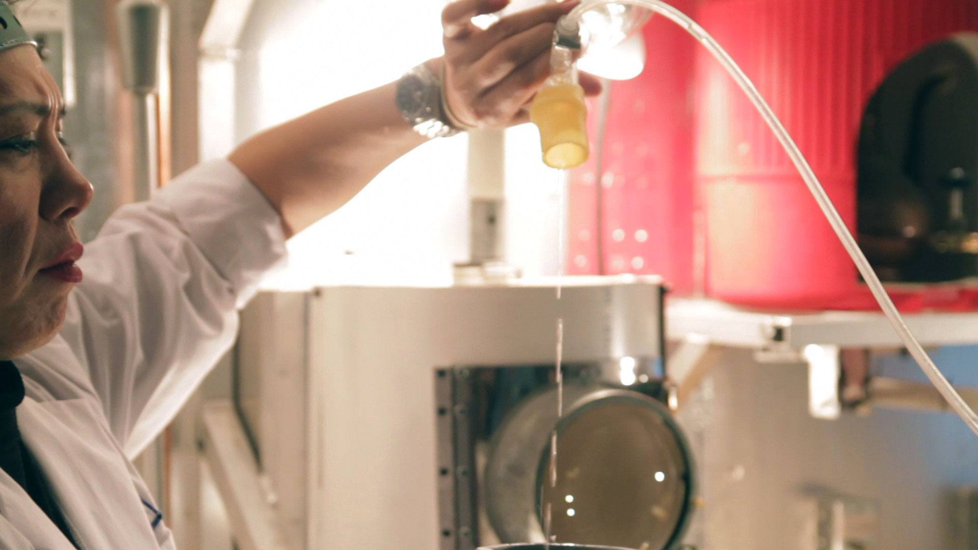 Mika Rottenberg: Artist at Work | Art21