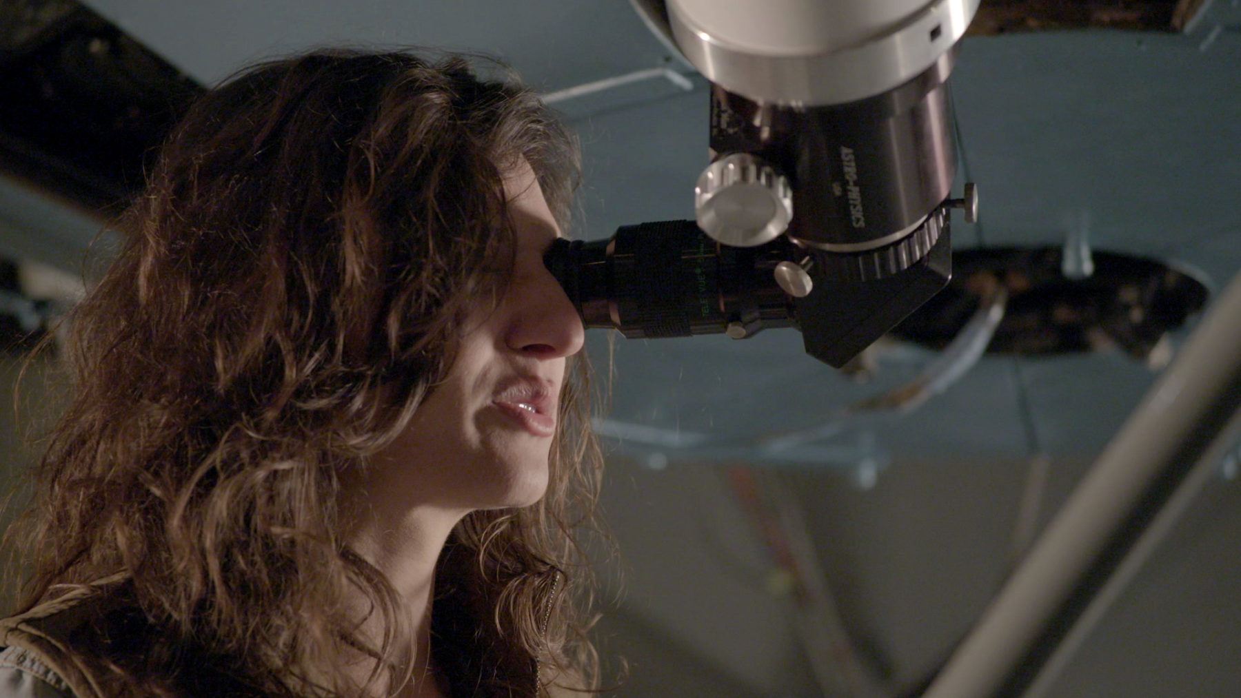 Tala Madani: Artist at Work | Art21