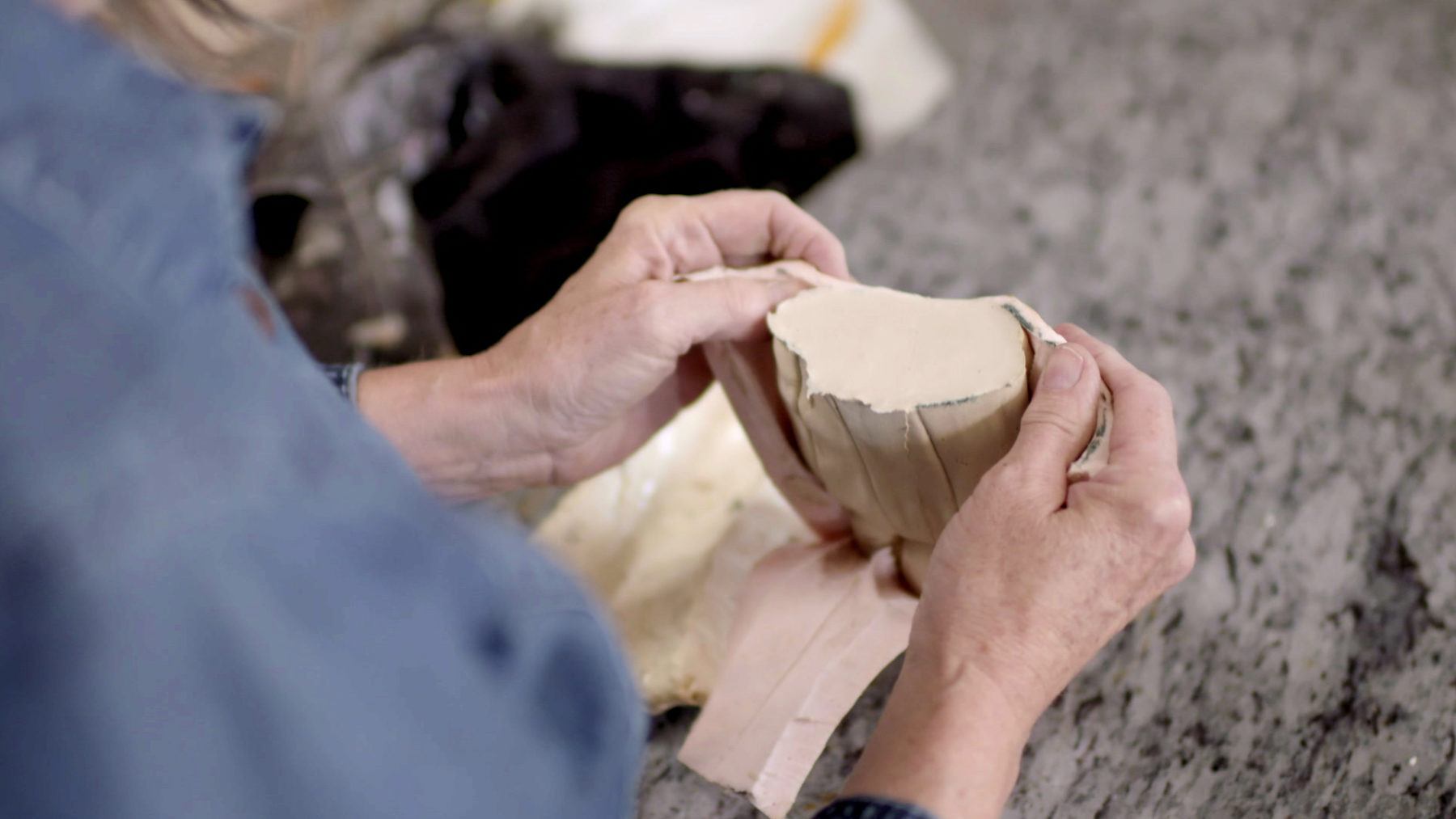 Liz Magor: Artist at Work | Art21