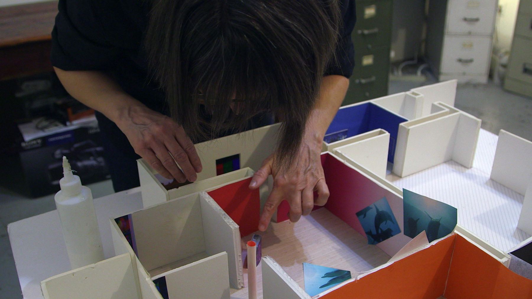 Diana Thater: Artist at Work | Art21