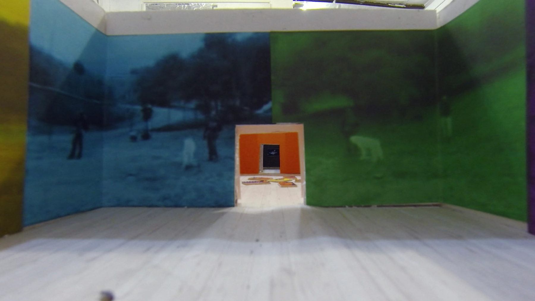 Diana Thater: Artist at Work | Art21