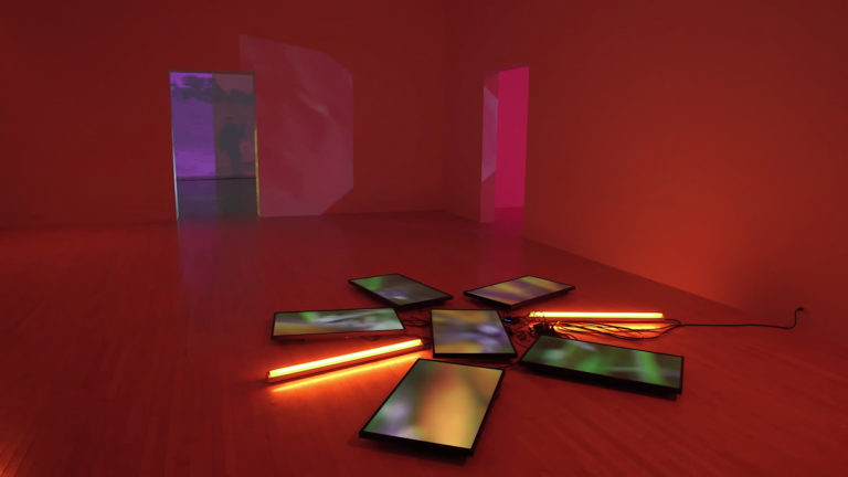 Diana Thater: Artist at Work | Art21