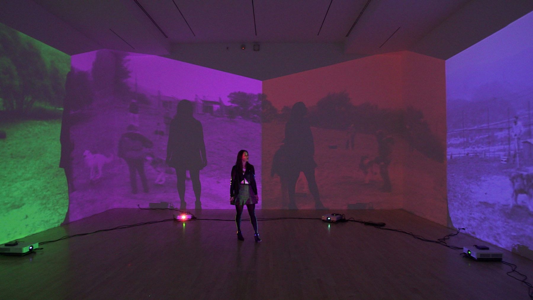 Diana Thater: Artist at Work | Art21