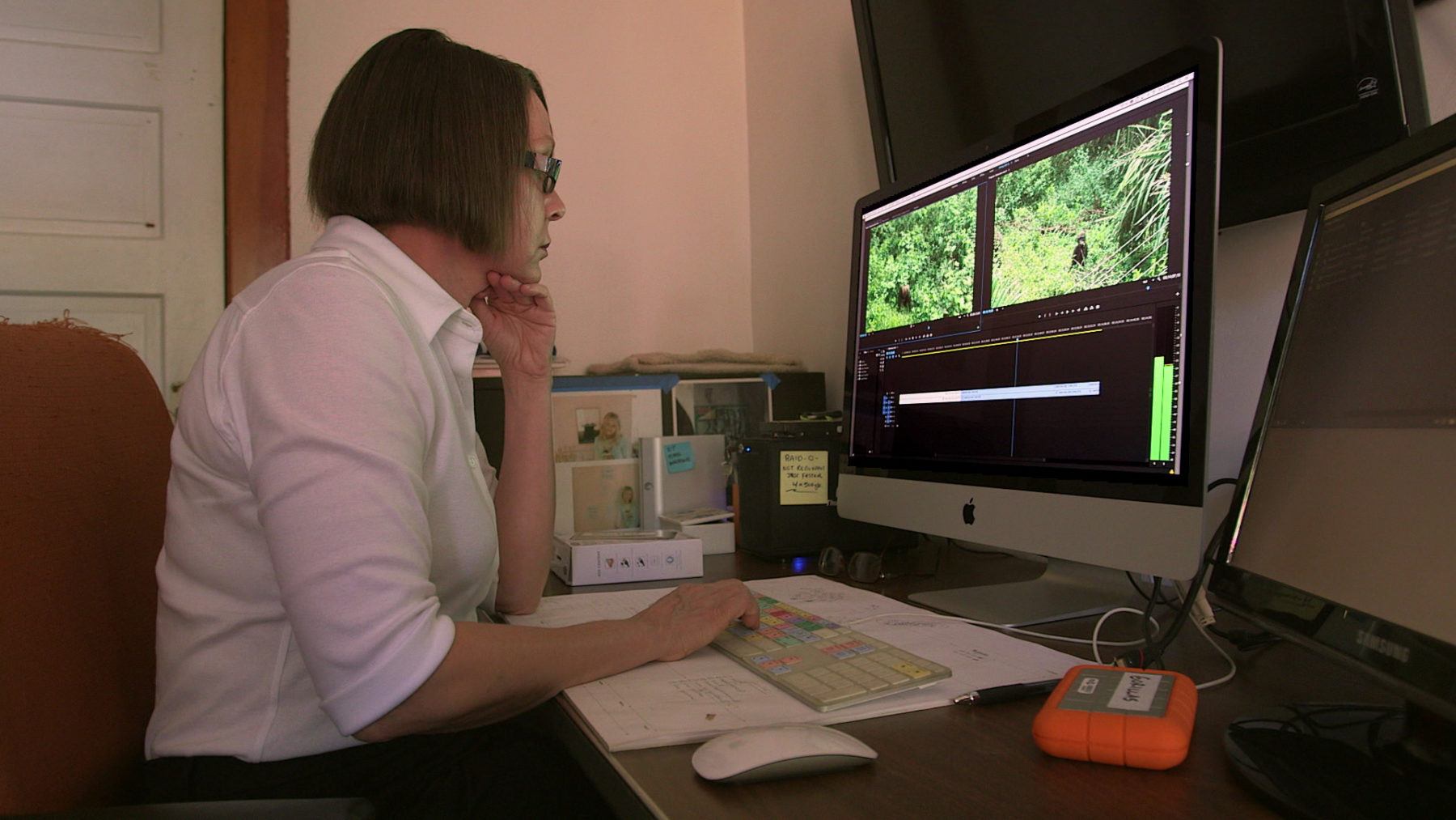 Diana Thater: Artist at Work | Art21