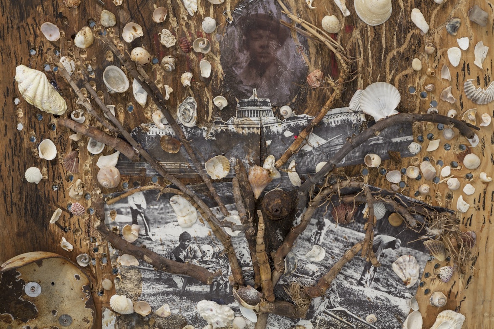 Abigail DeVille: Artwork Survey | Art21