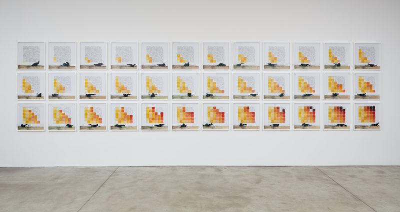 Robin Rhode: Artwork Survey: 2010s | Art21
