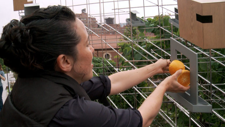 Sarah Sze: Studio as Laboratory — Art21