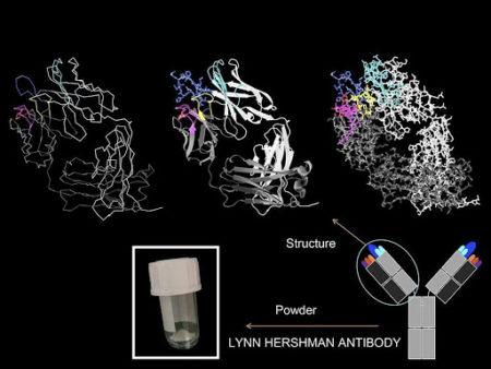 Cultural Mirror: Antibodies, Critics, and Roberta Breitmore — Art21