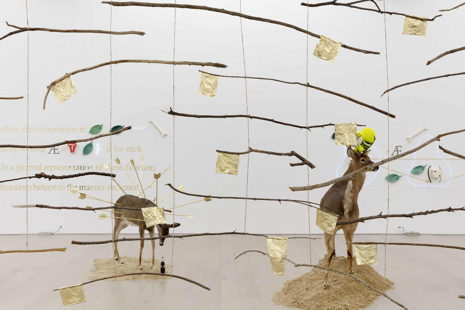 In the Studio: Gabriel Rico — Art21