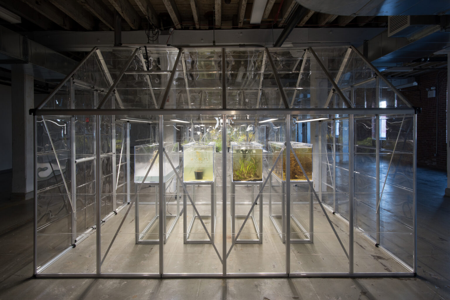 In the Studio: Michael Wang — Art21