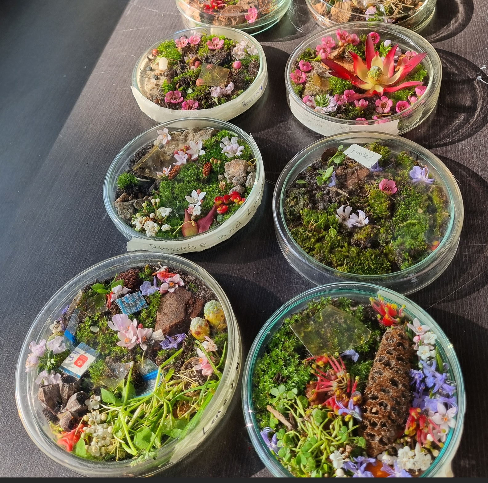 Materials + Environmentalism — Art21