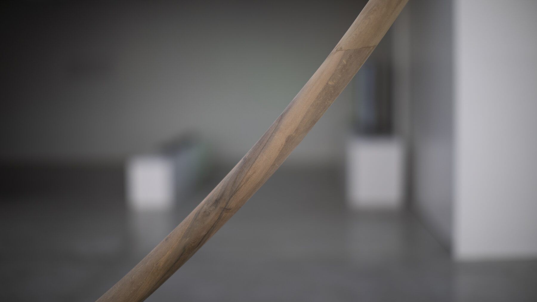In the Studio: Maria Taniguchi — Art21